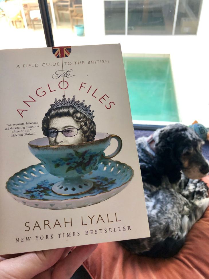 April – On the Bookshelf – And Anyways…