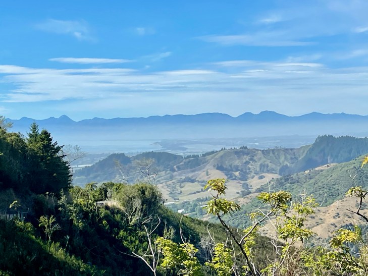 A Day In Golden Bay/Mohua – And Anyways…